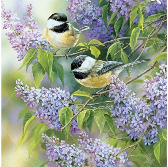 Games | Stave Puzzle Lilac Splendors 210 Traditionalpuzzle Brand New ...